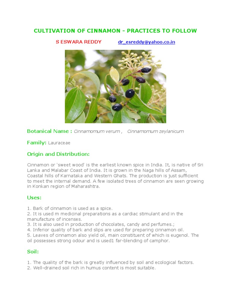 Cultivation of Cinnamon - Practices To Follow | PDF | Cinnamon | Sowing