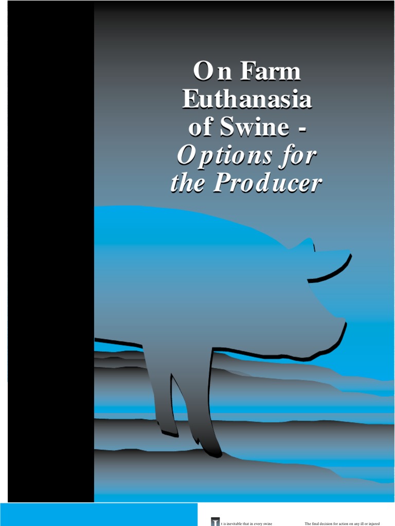 Euthanasia para Cerdos | PDF | Domestic Pig | Electric Shock