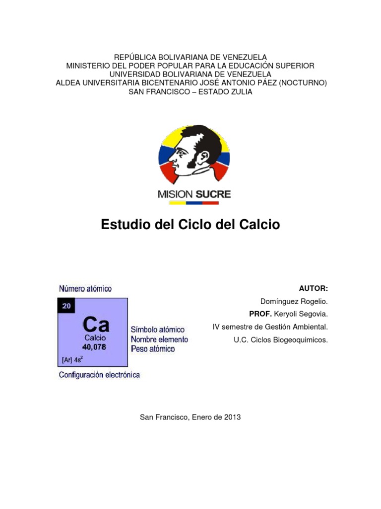 Ciclo Del Calcio | PDF | Calcio | Caliza