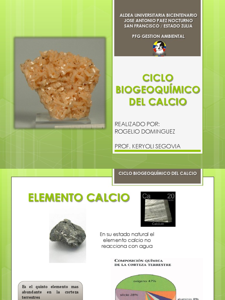 Ciclo Biogeoquímico Del Calcio | PDF | Calcio | Caliza