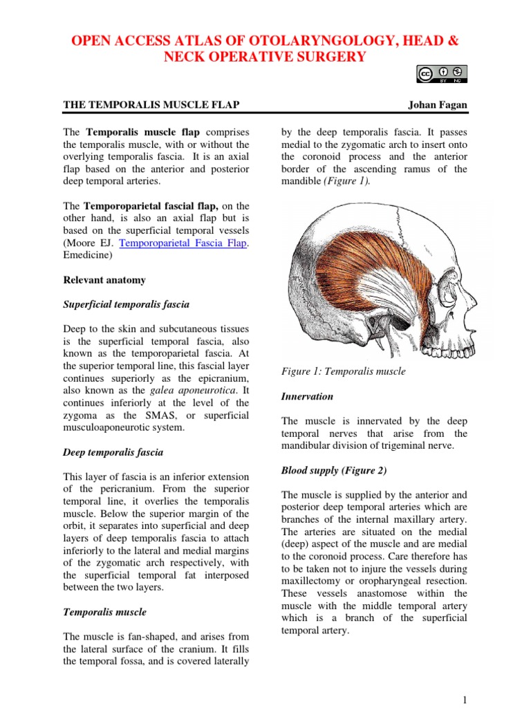 Temporalis Fascia | PDF | Human Anatomy | Human Head And Neck