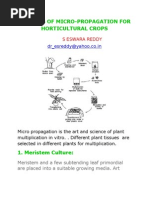 Project Report On Plant Tissue Culture Establishment | PDF | Plants ...