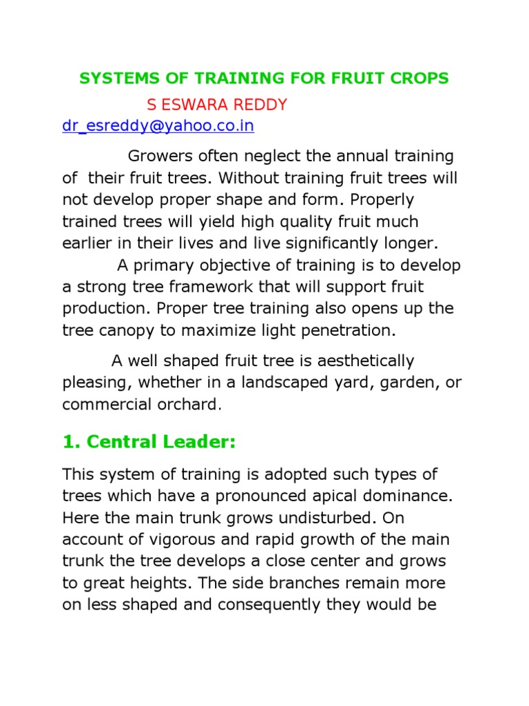 Training Systems for Fruit Crops | PDF | Trees | Fruit