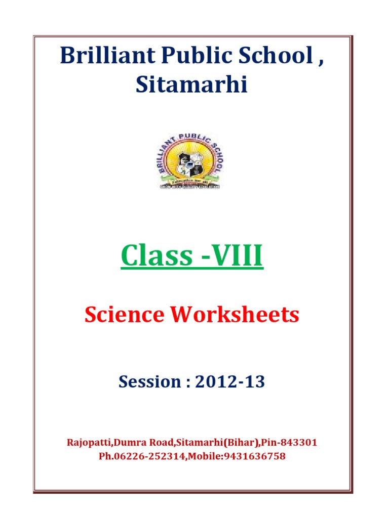 Class VIII Science Worksheets | PDF | Oxide | Combustion