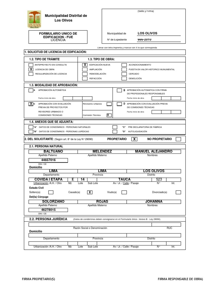 Ejemplo Practico Del Llenado Del Fue | PDF | Propiedad | Presupuesto