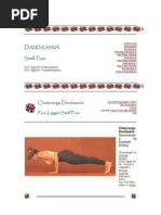 Descriptive Form C8 | PDF | Human Anatomy