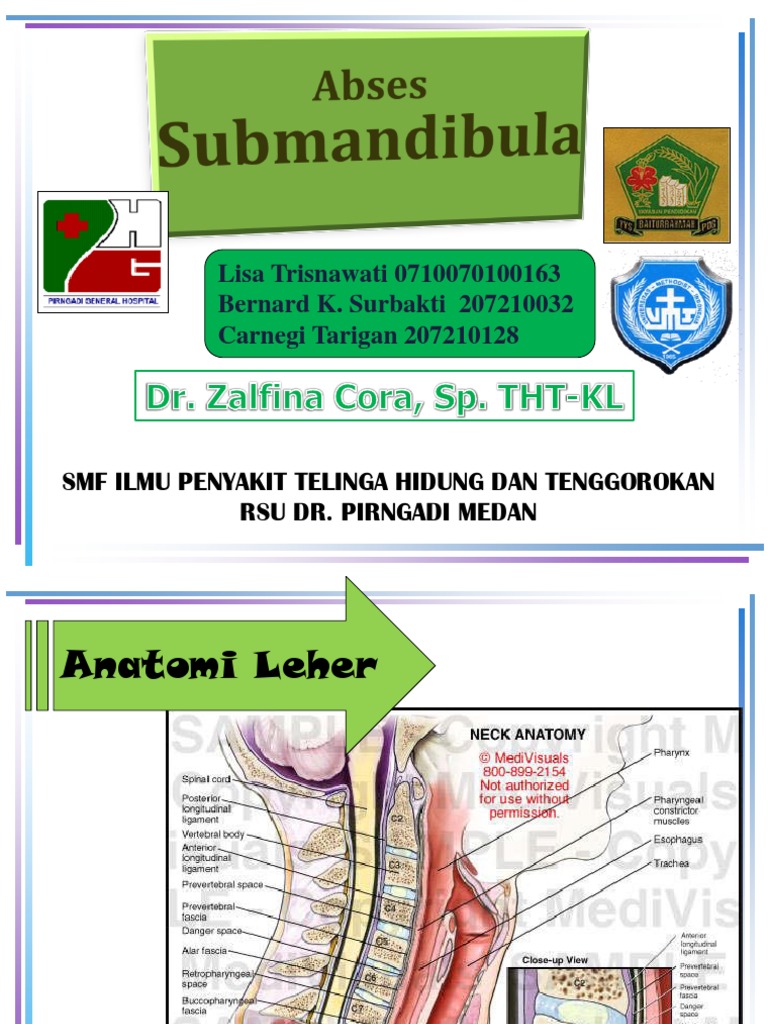 Abses Submandibula | PDF