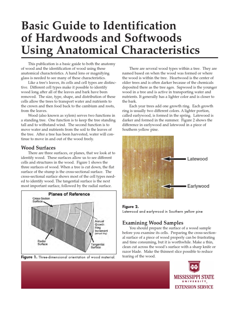 Basic Guide To Wood ID of Soft and Hard Woods | PDF | Wood | Trees