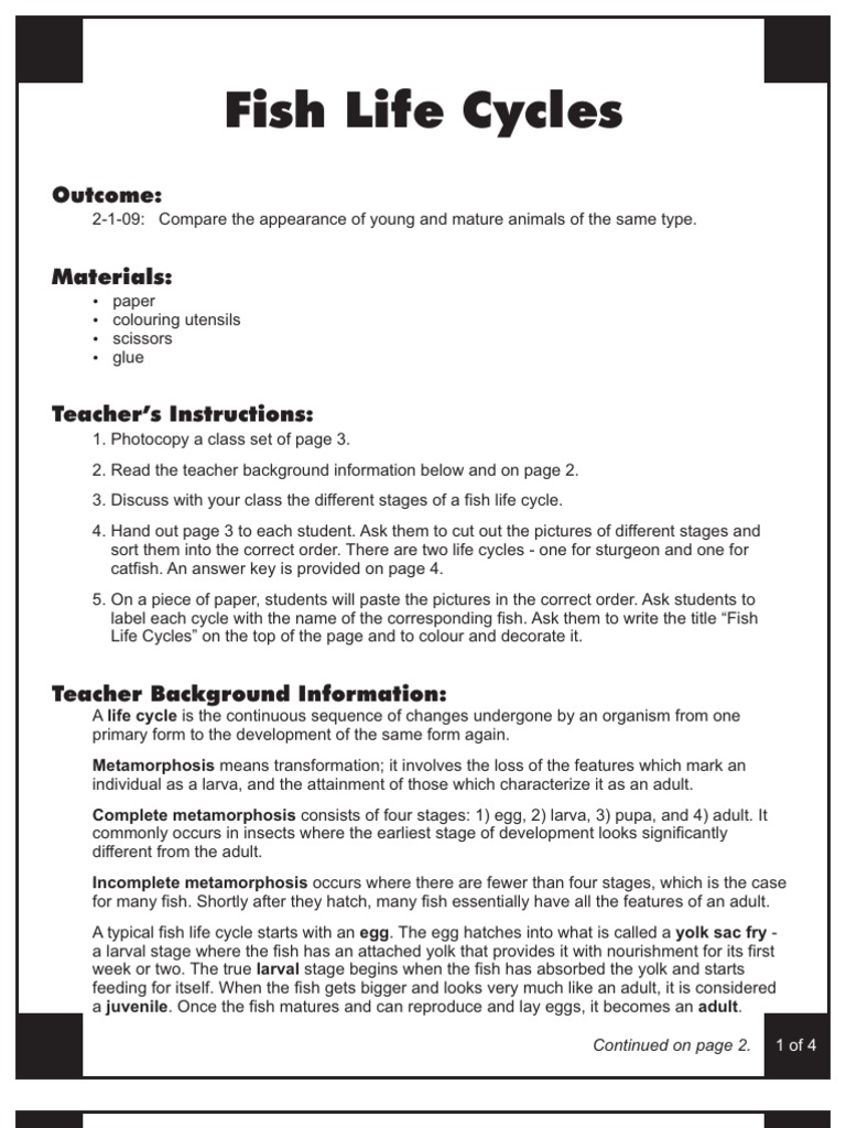 Fish Life Cycles for Students | PDF