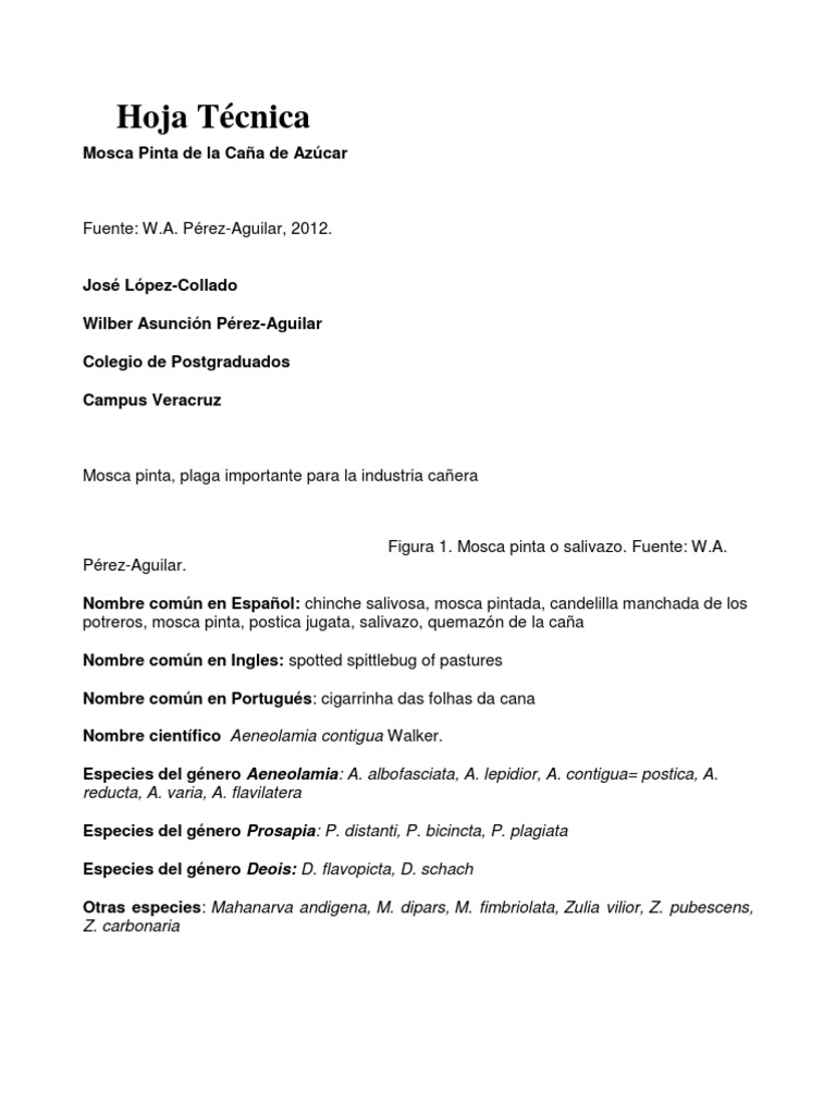 Hoja Técnica - Salivazo | PDF | Insectos beneficiosos | Insectos