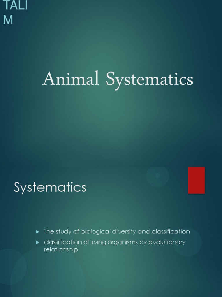 Animal Systematic | PDF | Mollusca | Zoology