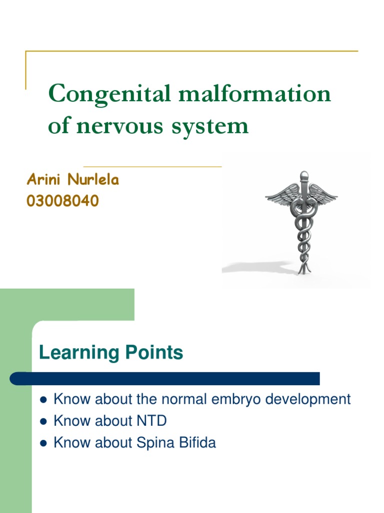 Congenital Malformation Of Nervous System Ppt Sesi 1 Pdf Cerebrum