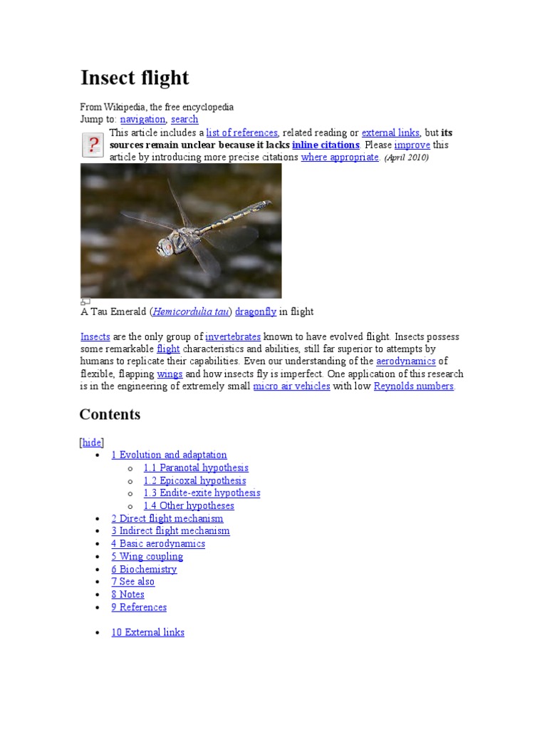 Insect Flight: Sources Remain Unclear Because It Lacks | PDF | Insects ...