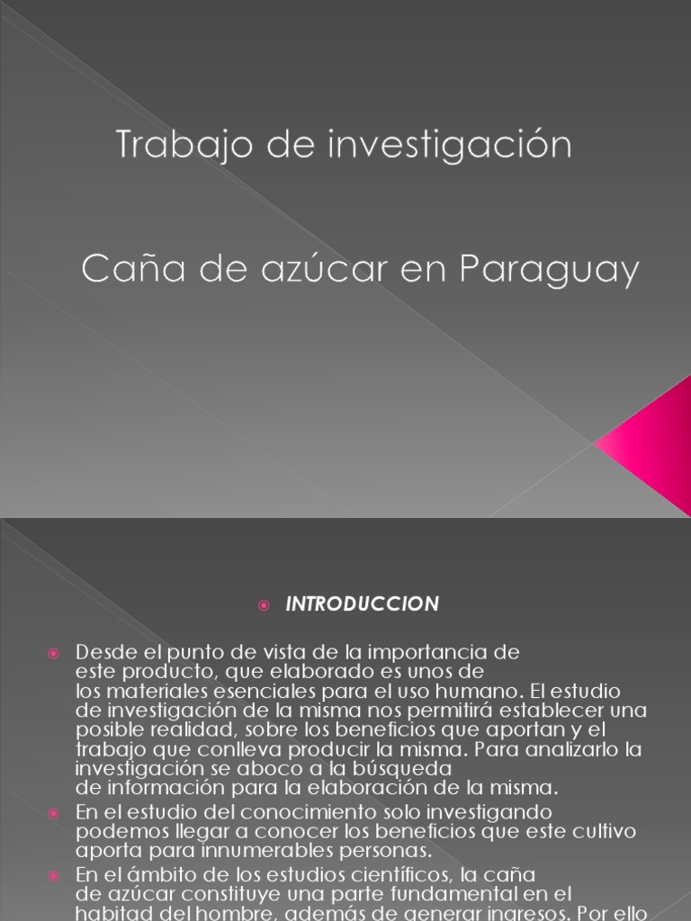 Caña de Azúcar: Cultivo y Beneficios en Paraguay | PDF | Beneficio ...