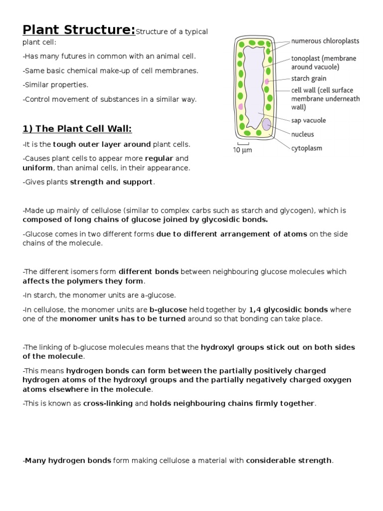 AS Biology Unit 2 Topic 4 Notes Study Revision Guide Summary Edexcel ...