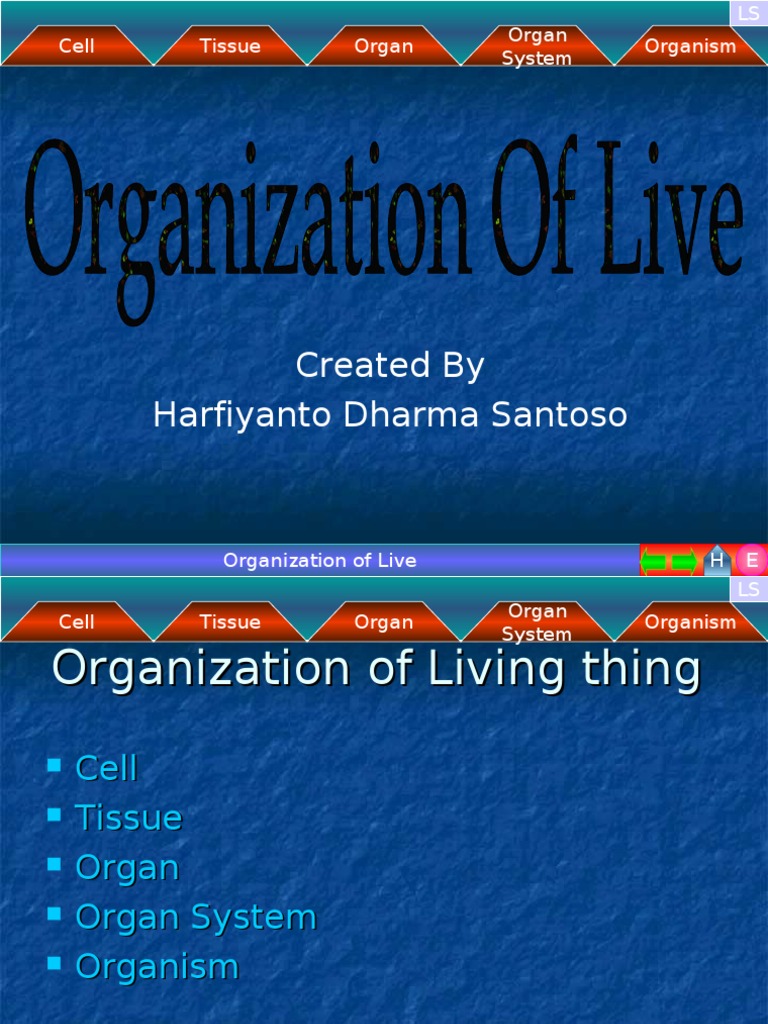 Presentation About Cells | PDF | Cytoplasm | Cell (Biology)