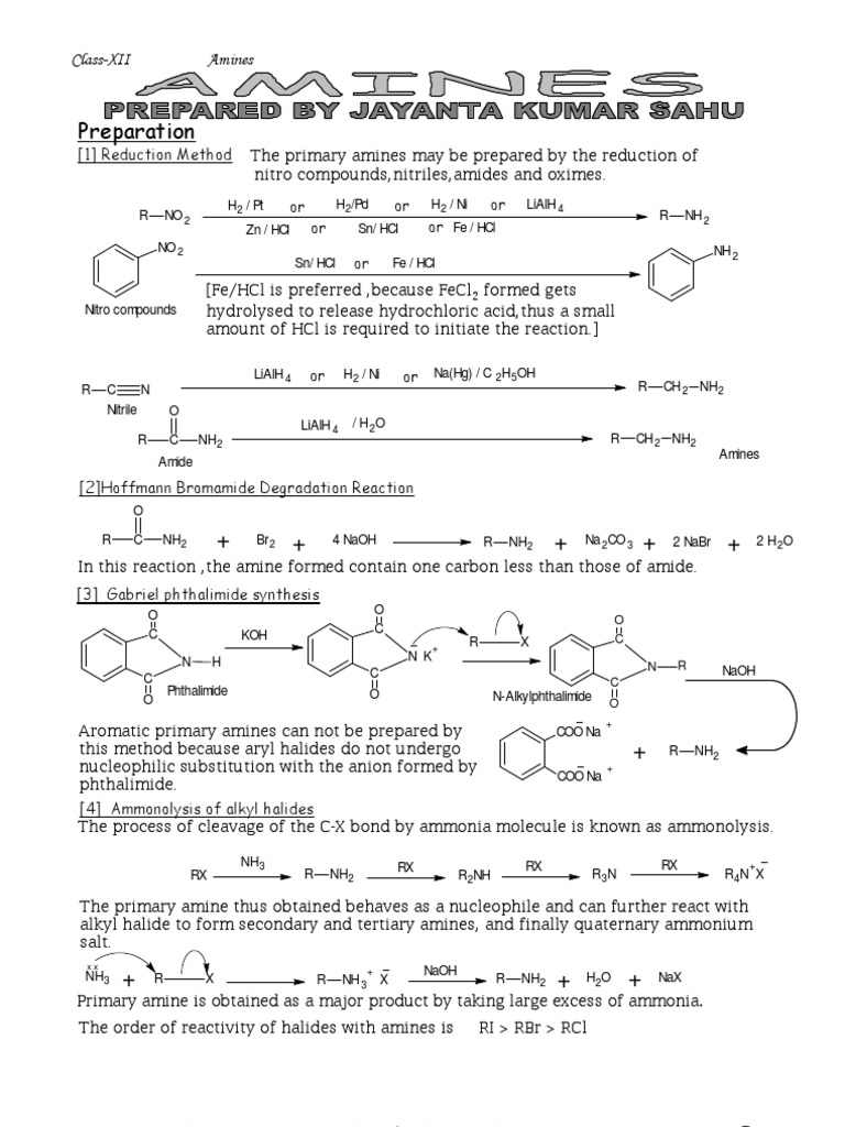 Amines Pdf Amine Hydroxide