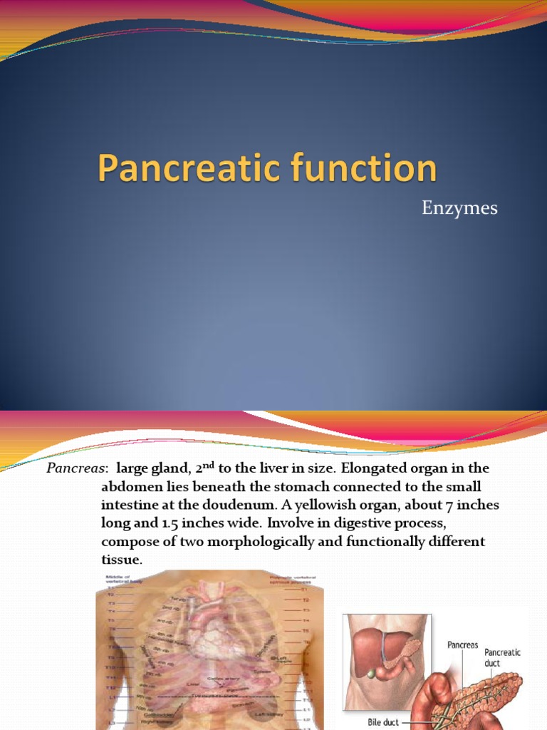 Pancreas: Functions and Diseases | PDF | Pancreas | Organ (Anatomy)