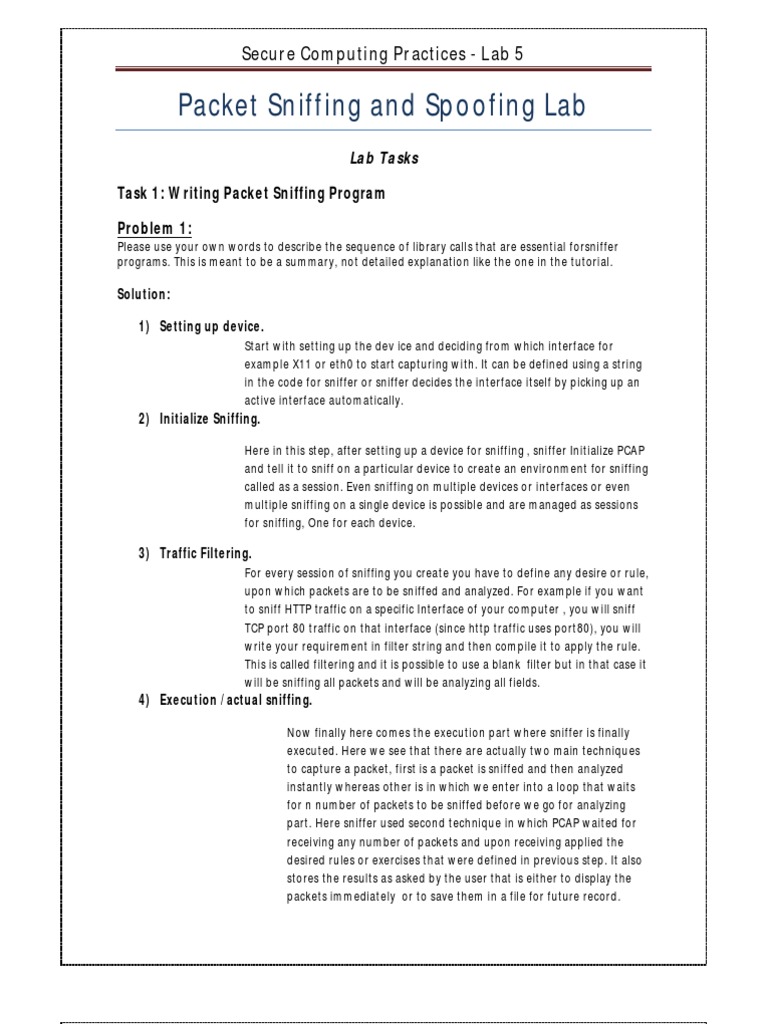 Packet Sniffing and Spoofing Lab - Final | PDF | Network Socket | Internet Protocols