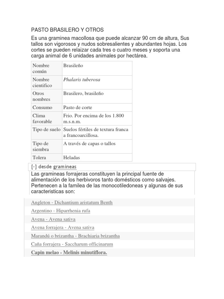 Características del Pasto Brasilero | PDF