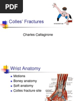Colles Fracture Rehab Protocol Guide | PDF | Anatomical Terms Of Motion ...