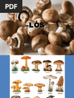 Características y Manejo de Vertisoles | PDF | Suelo | Degradación ...