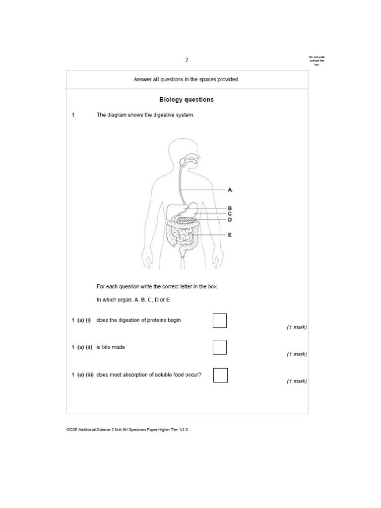 GCSE Biology - Revision Questions | PDF
