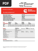 Woodstock Power Co. Cummins DSFAE Spec Sheet | PDF | Radiator | Engines