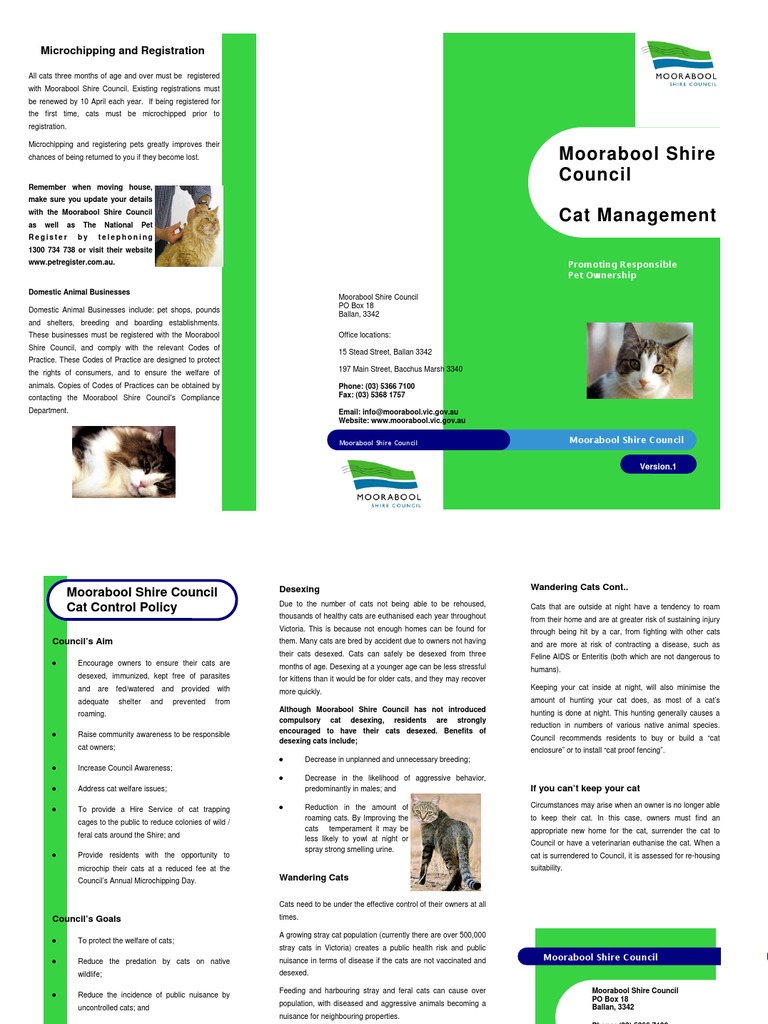Brochure For Cats 09 | PDF | Cats | Pet