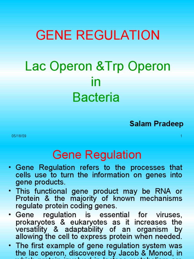 Gene Regulation - Lac Operon & TRP Operon | PDF | Operon | Repressor