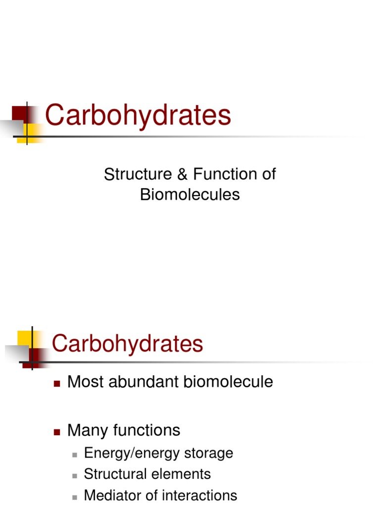 Principles of Biochemistry (Carbohydrates) | PDF | Polysaccharide ...