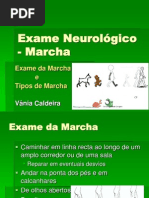 Tipos de Marchas Patológicas na Fisioterapia | PDF | Fisioterapia ...
