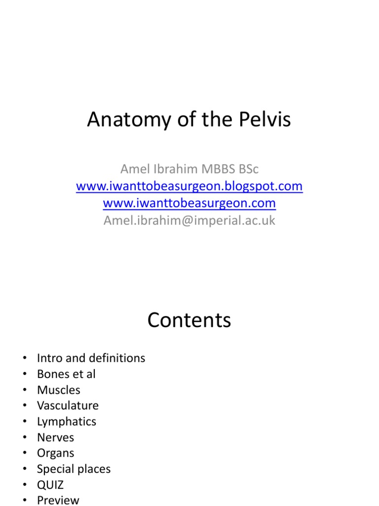 Anatomy of Pelvis | PDF | Pelvis | Vertebral Column