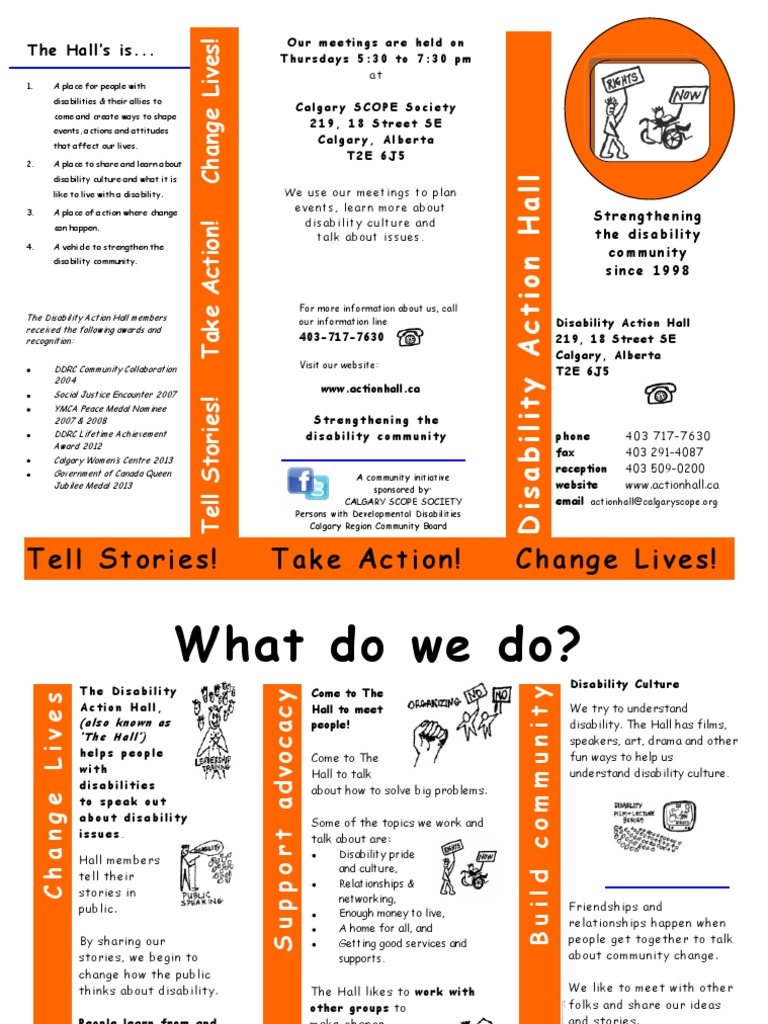 Disability Action Hall Community Initiatives | PDF | Disability ...