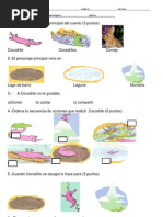Cocodrilos Copiones Prueba | PDF