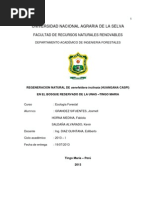 INSECTOS PLAGAS - Tara PDF | PDF | Lepidópteros | Mosca