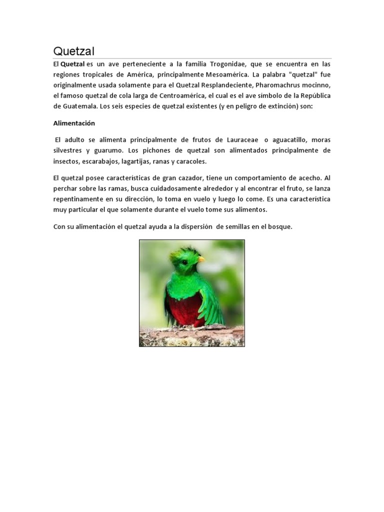 Alimentación y características del quetzal | PDF