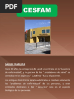 Definición y Funciones de un CESFAM | PDF | Hospital | Salud y bienestar