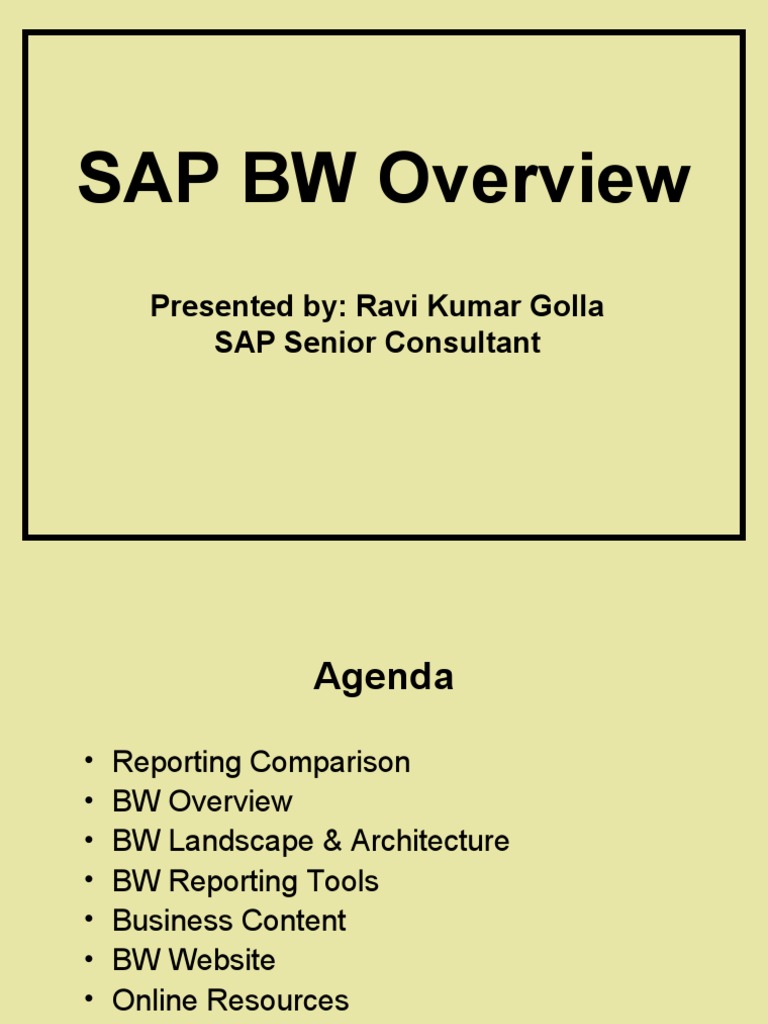 Sap BW Overview | PDF | Microsoft Excel | Information Management