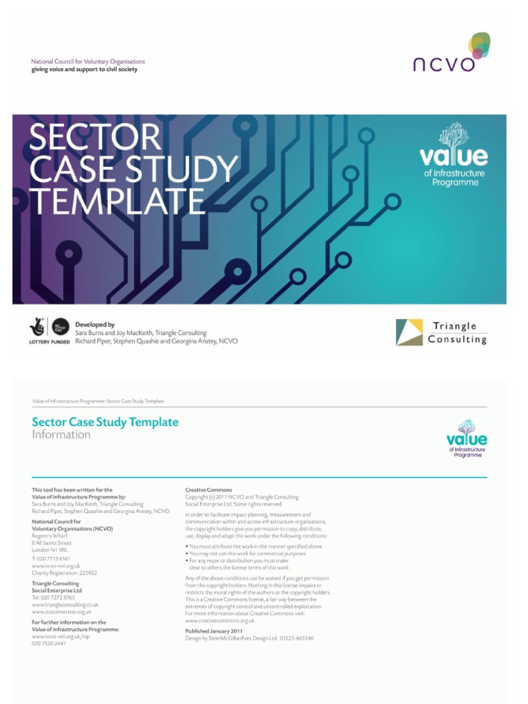 Sector Case Study Template | PDF | Stakeholder (Corporate) | Information