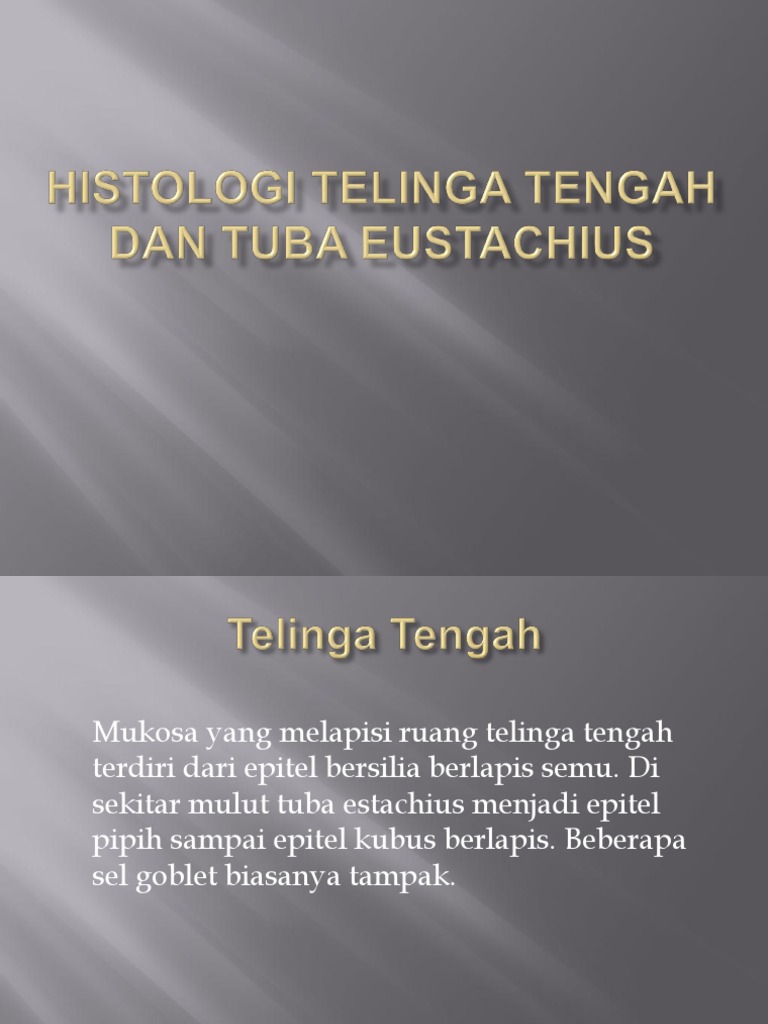 Histologi Tuba Eustachius dan Telinga Tengah | PDF