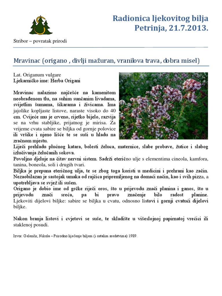 Materijal Za Radionicu Ljekovitog Bilja Stribor 13 | PDF