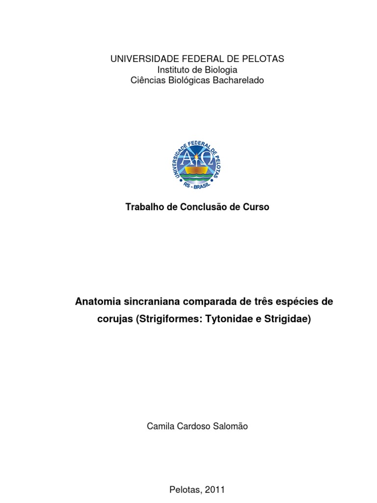 Anatomia Comparada Corujas | PDF | Aves | Filogenética