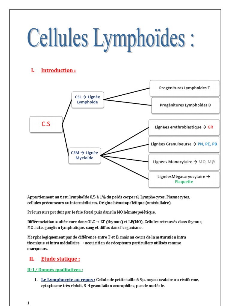 Lignée lymphoïde et myéloïde en immunologie | PDF | Lymphocyte | Antigène