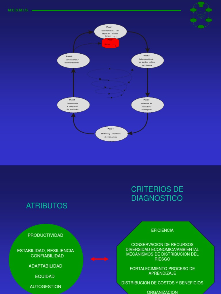 05 MESMIS; Ejemplo Resultados | café | Porcentaje