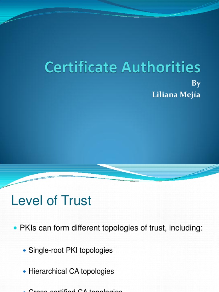Certificate Authorities | Download Free PDF | Public Key Certificate ...