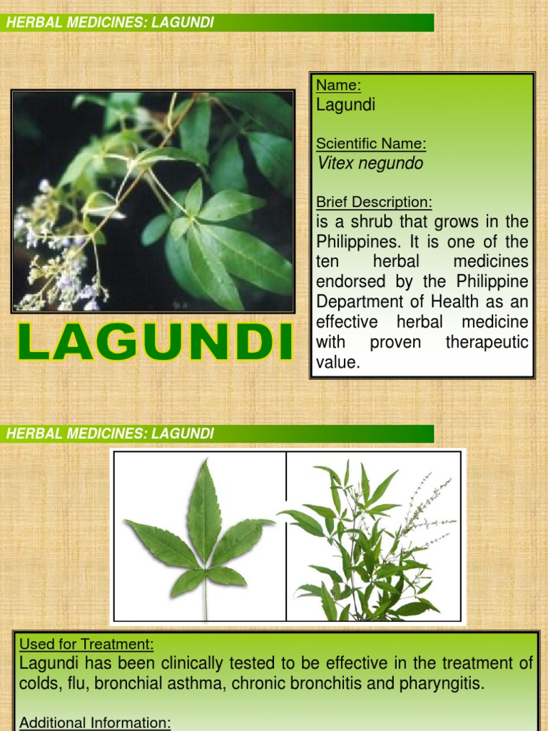 Herbal Medicines | PDF | Oregano | Herbalism