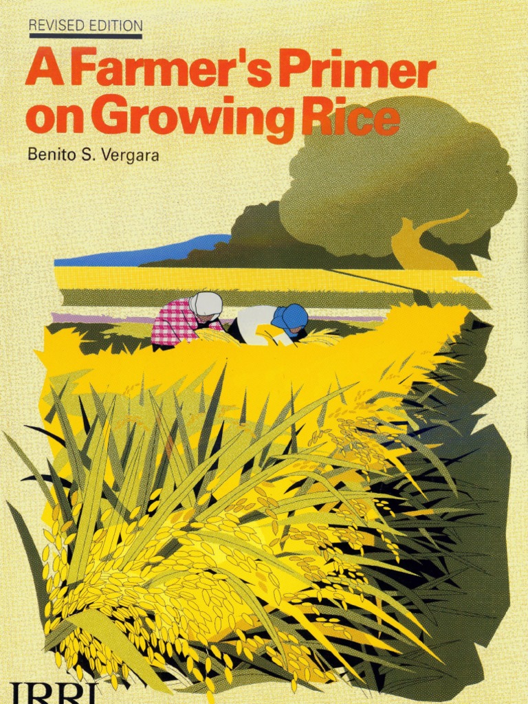 A Farmer - S Primer On Growing Rice | PDF | Home & Garden