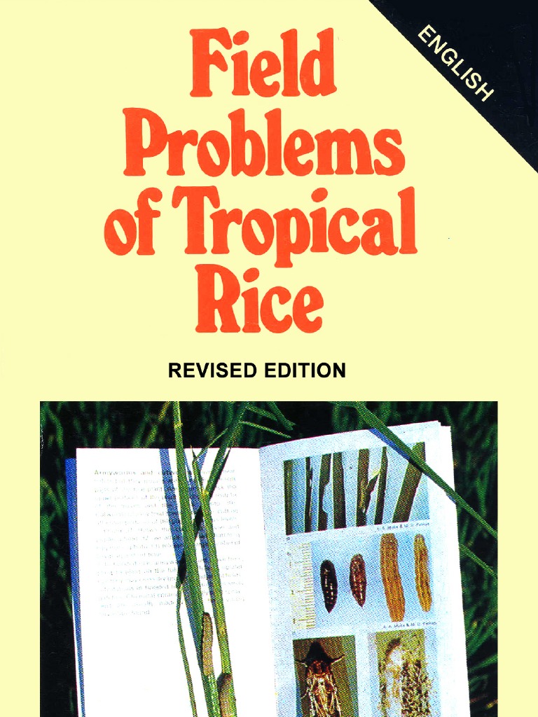 Field Problems of Tropical Rice | Botany | Plants