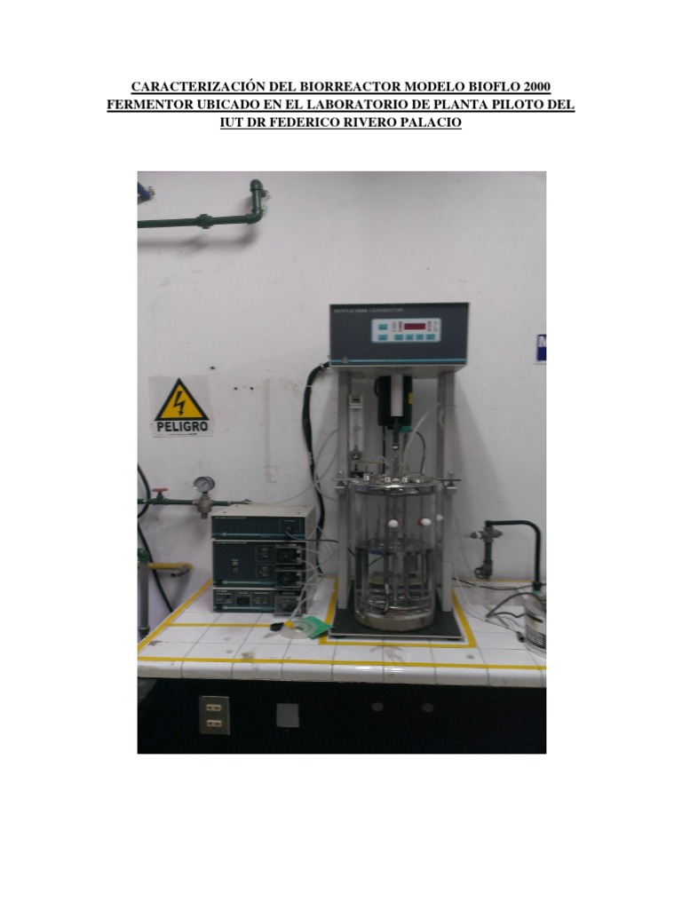 CARACTERIZACIÓN DEL BIORREACTOR Bioflo 200 | PDF | Oxígeno | Química